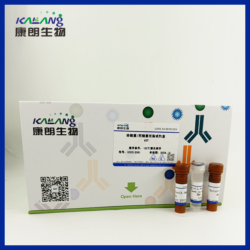 活细菌/死细菌双染试剂盒 SYTO 9/PI Live/Dead Bacterial Double Stain Kit KL14234 - 康 ...