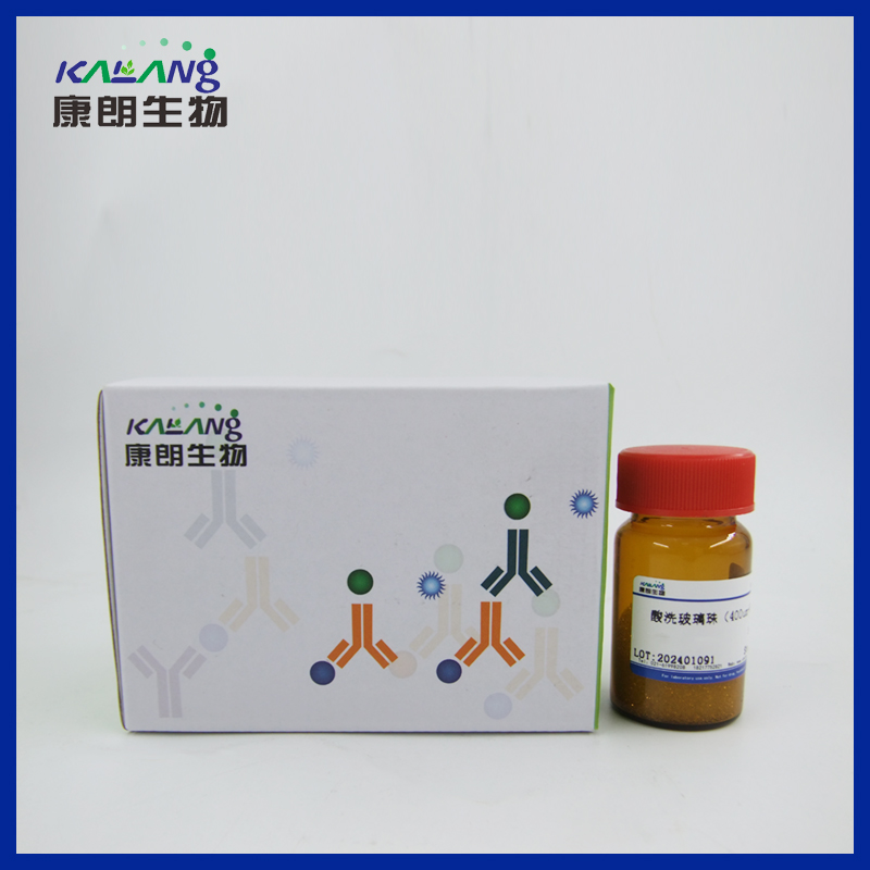 酸洗玻璃珠（200um-400um） KL10264S - 康朗生物官方商城 - 康朗生物-试剂盒,ELISA试剂盒,检测试剂盒,抗体,细胞 ...