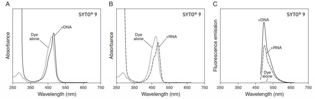 SYTO 9 Green Fluorescent Nucleic Acid Stain (5 mM in DMSO) 绿色荧光核酸染料 ...