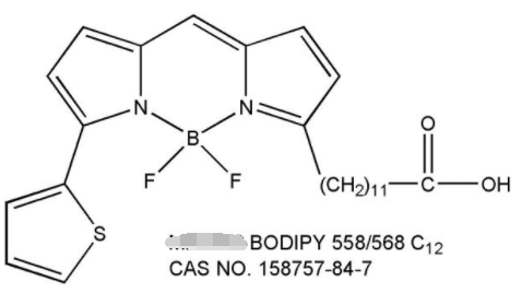 BODIPY 558/568 C12 脂滴荧光探针 158757-84-7 KL15402-1MG - 康朗生物官方商城 - 康朗生物-试剂盒 ...