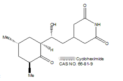 Cycloheximide 放线菌酮（环己亚胺） 66-81-9 KL10035-1000MG - 康朗生物官方商城 - 康朗生物-试剂盒 ...